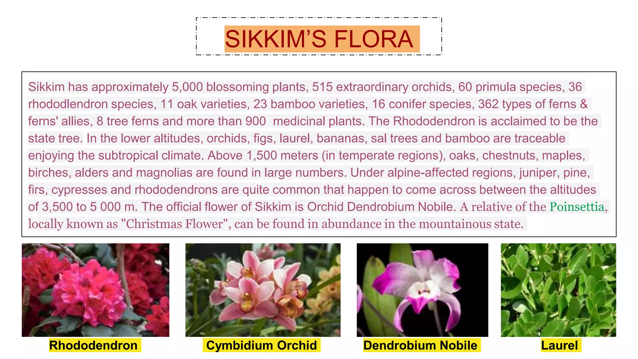 Flora and Fauna of Delhi and Sikkim | PPTX