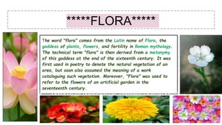 Flora and Fauna of Delhi and Sikkim | PPTX