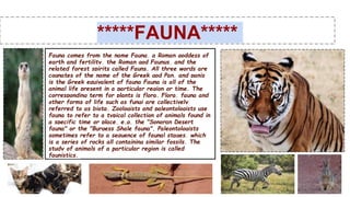 Flora and Fauna of Delhi and Sikkim | PPTX
