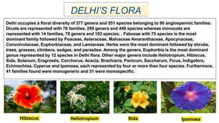 Flora and Fauna of Delhi and Sikkim | PPTX