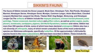 Flora and Fauna of Delhi and Sikkim | PPTX