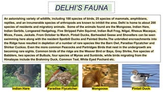 Flora and Fauna of Delhi and Sikkim | PPT