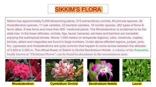 Flora and Fauna of Delhi and Sikkim | PPT