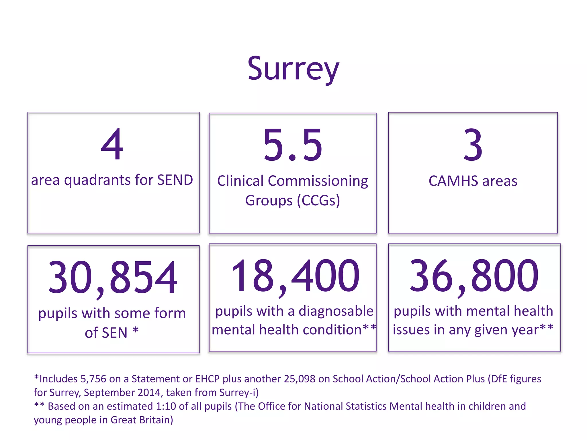 Family Voice Surrey CAMHS workshop | PPTX