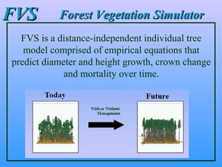 FVS Training Bolzano 4/9 | PPT