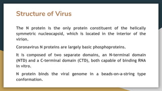 Structure of corona_virus | PPT