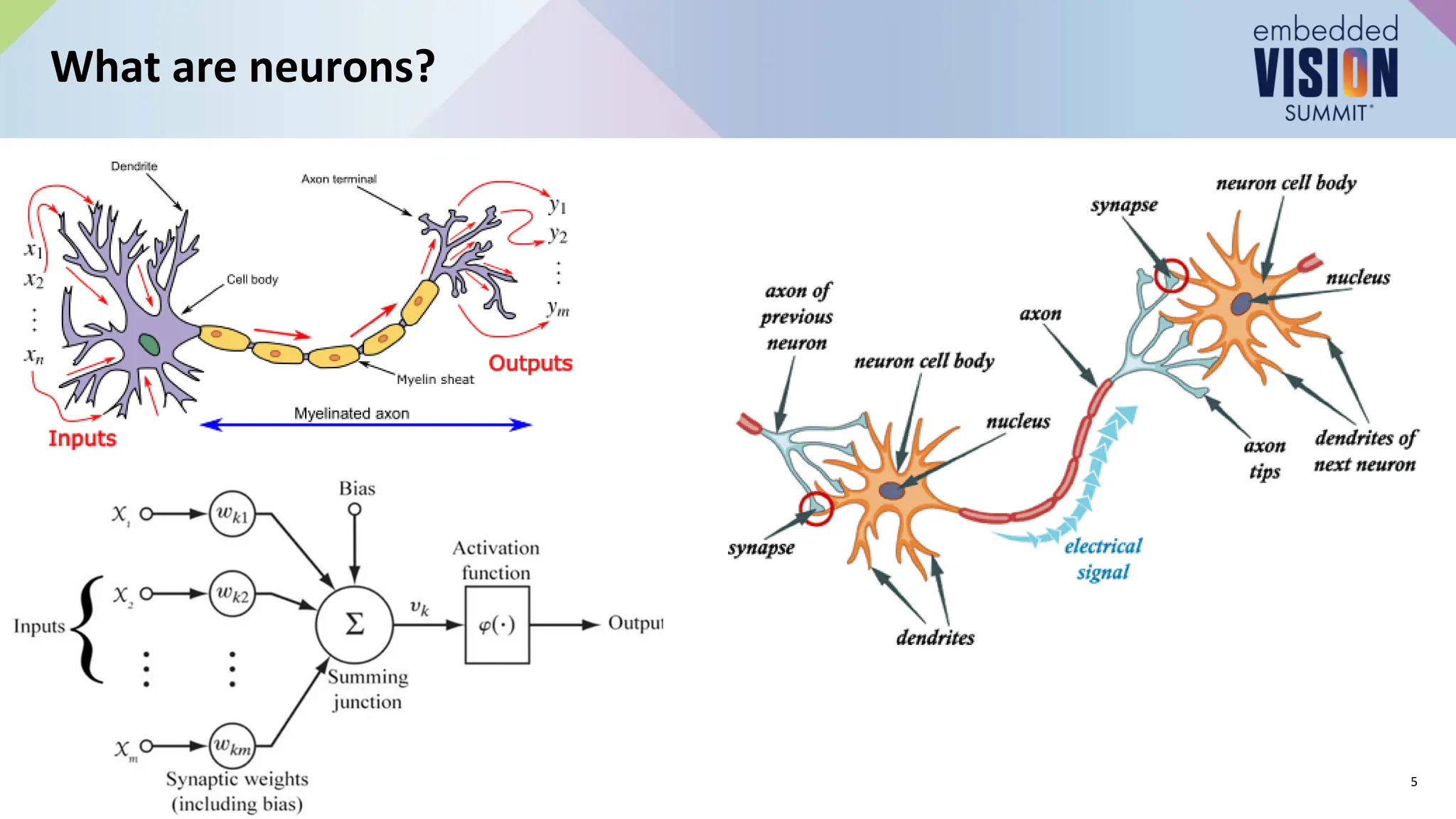 Introduction To Computer Vision With Convolutional Neural Networks” A Presentation From Ebay