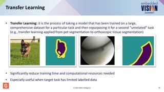 “The Fundamentals of Training AI Models for Computer Vision ...