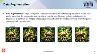 “The Fundamentals of Training AI Models for Computer Vision ...