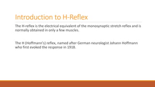 Presentation about late responses f wave h reflex.ppt