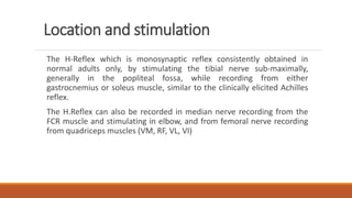Presentation about late responses f wave h reflex.ppt