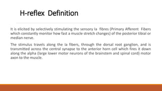 Presentation about late responses f wave h reflex.ppt