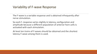 Presentation about late responses f wave h reflex.ppt