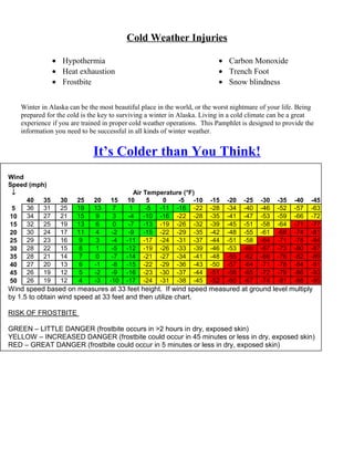 Fwa winter safety guide | PDF