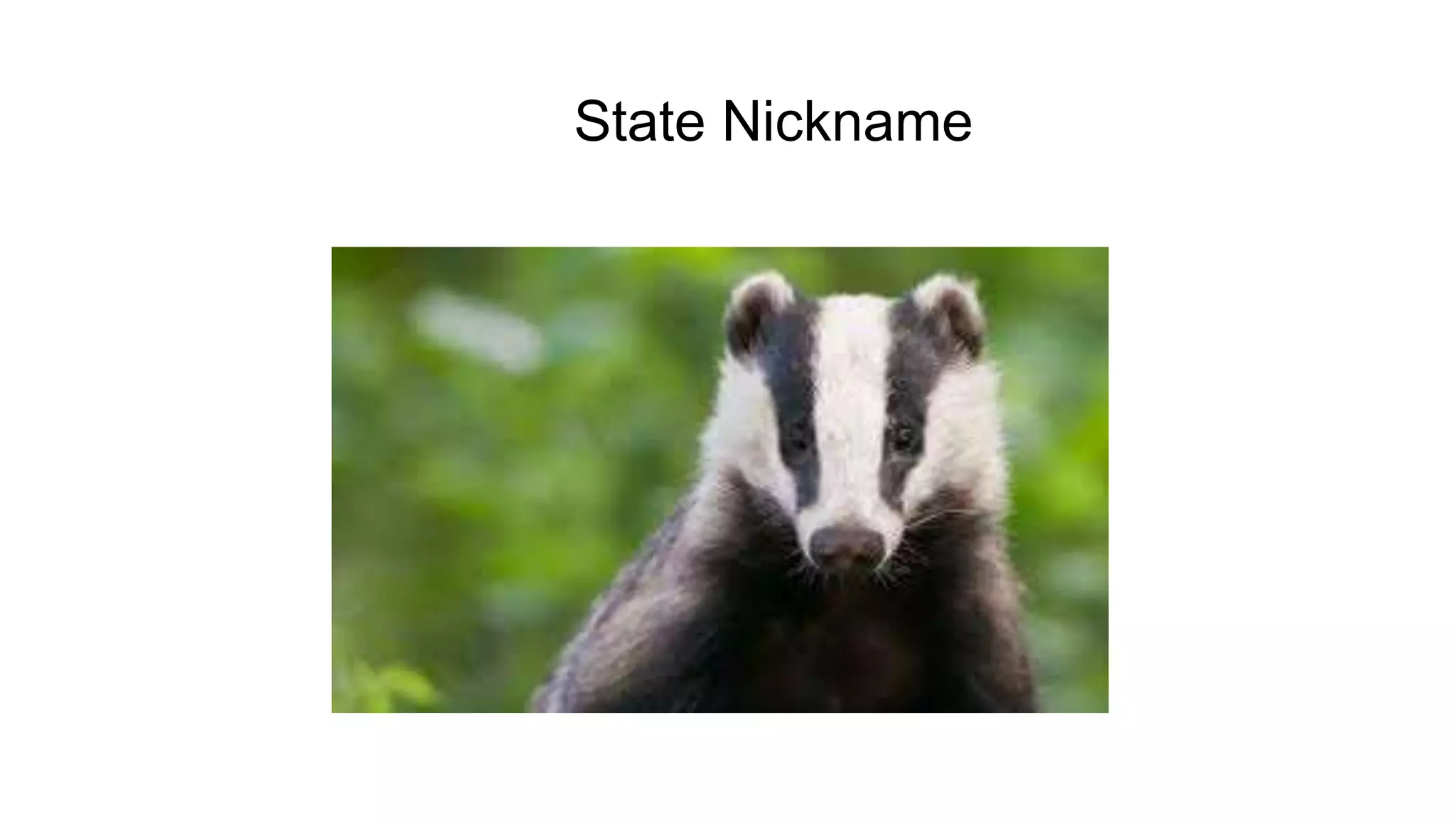 Symbols of wisconsin | PPTX