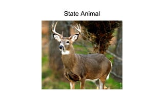 Symbols of wisconsin | PPTX