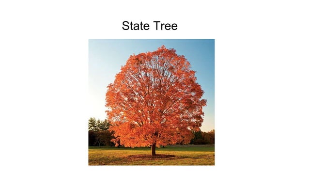 Symbols of wisconsin | PPTX