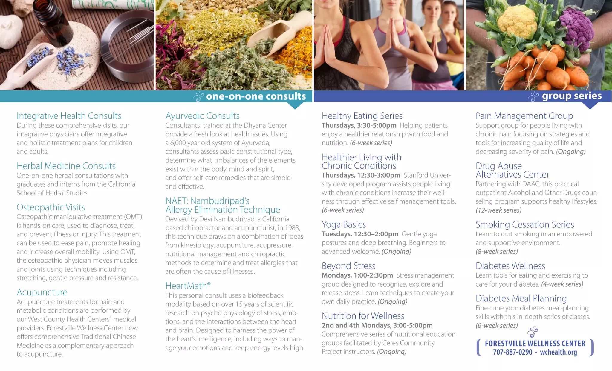 Forestville Wellness Center Brochure | PDF | Holistic Health ...