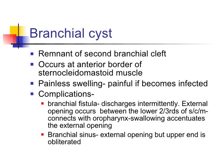 Fwd: Bambury Tutorial on Head and Neck