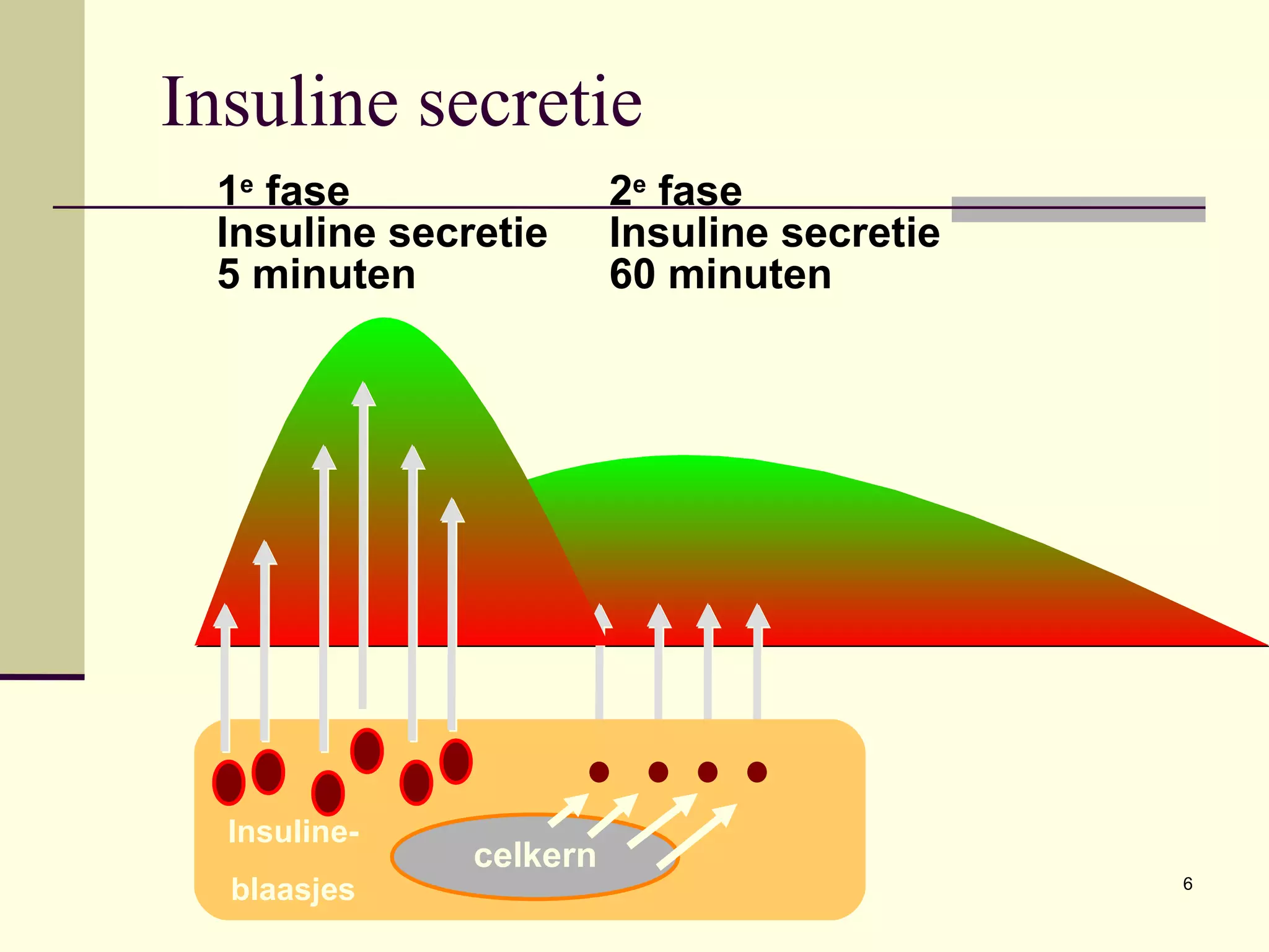Fwd: ppt powerpoint insuline maggie | PPT
