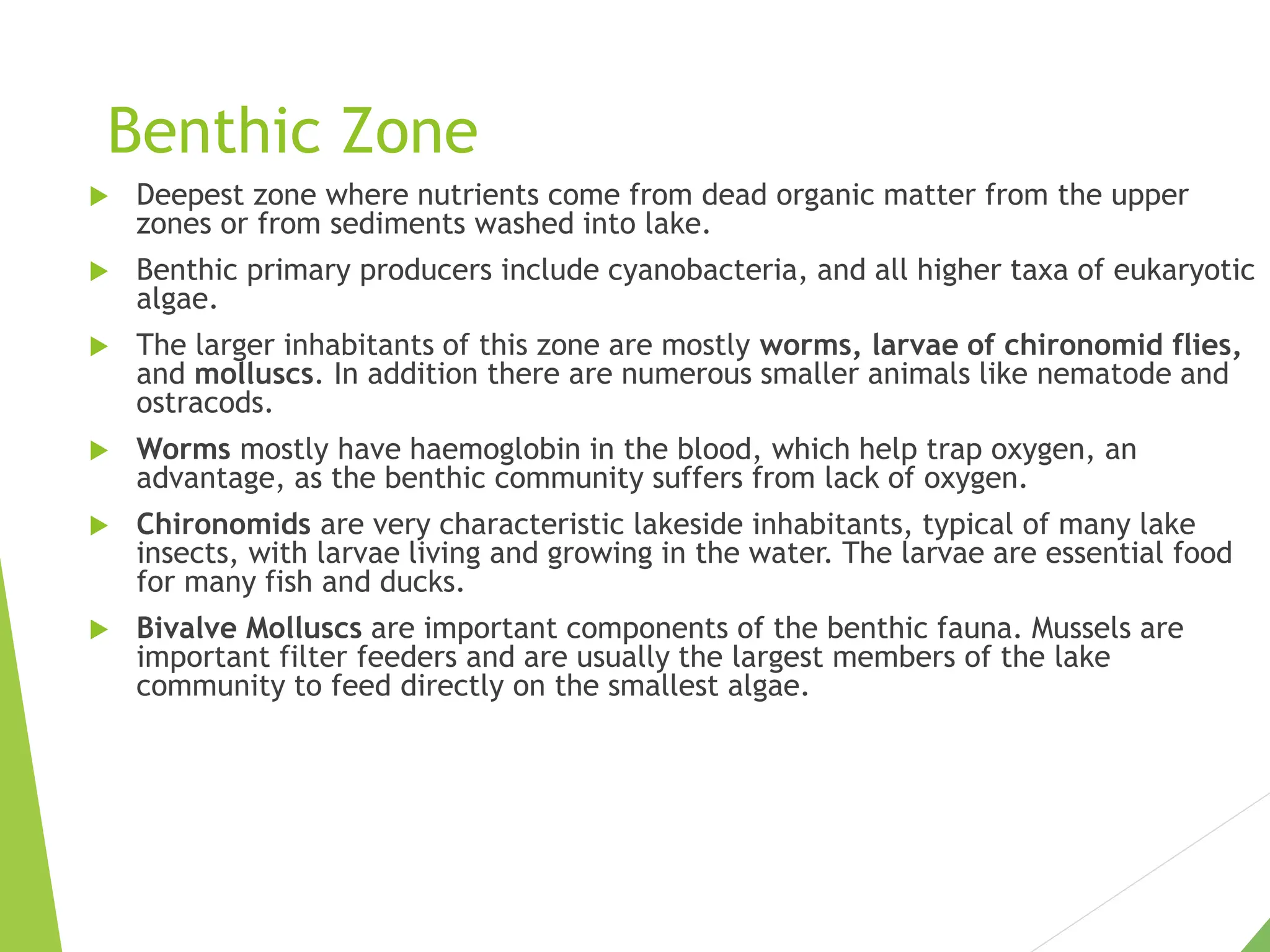 FW ecosystem z2 edited.pptx includes lentic and lotic ecosystem | PPTX