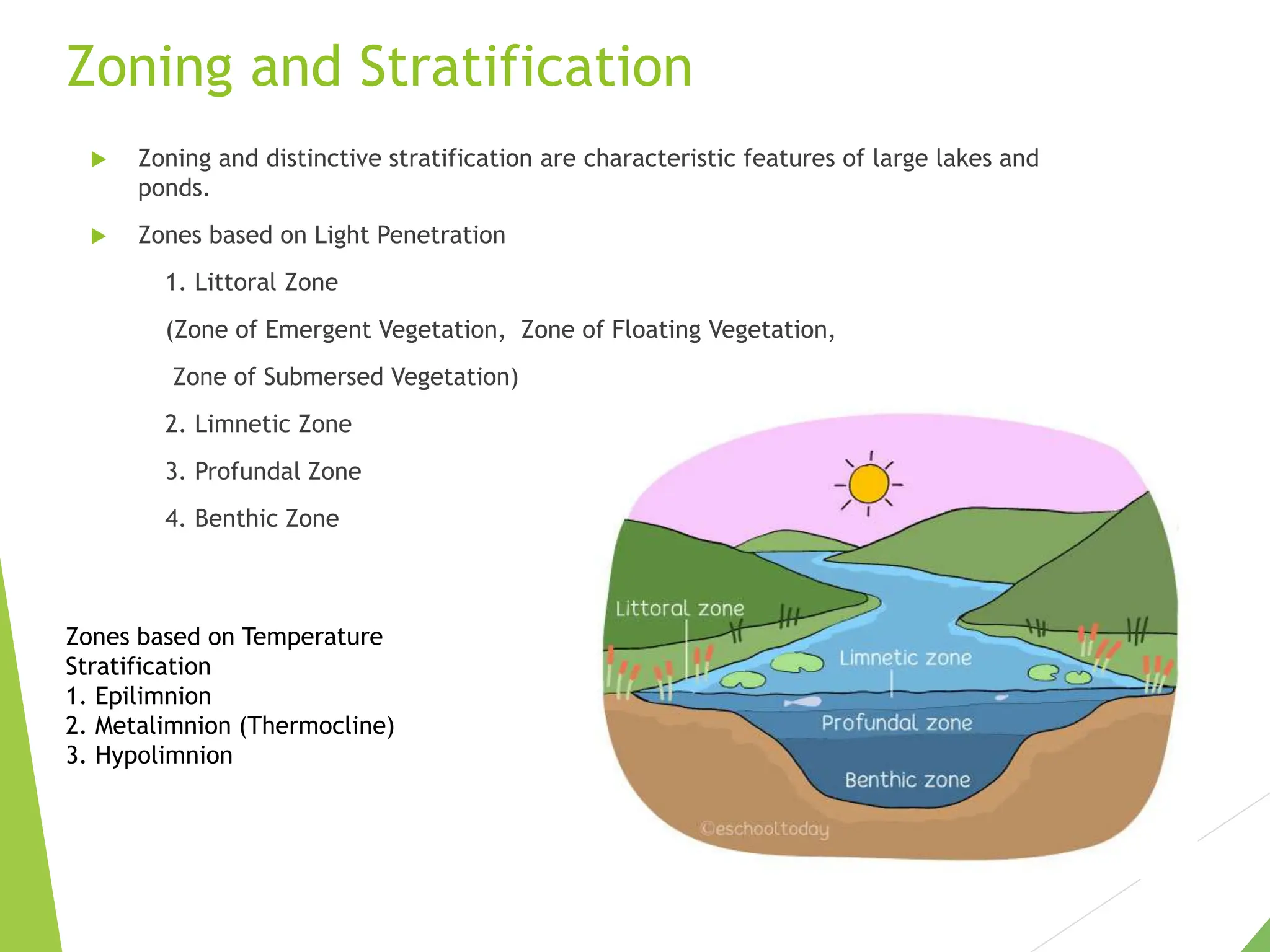 FW ecosystem z2 edited.pptx includes lentic and lotic ecosystem | PPTX