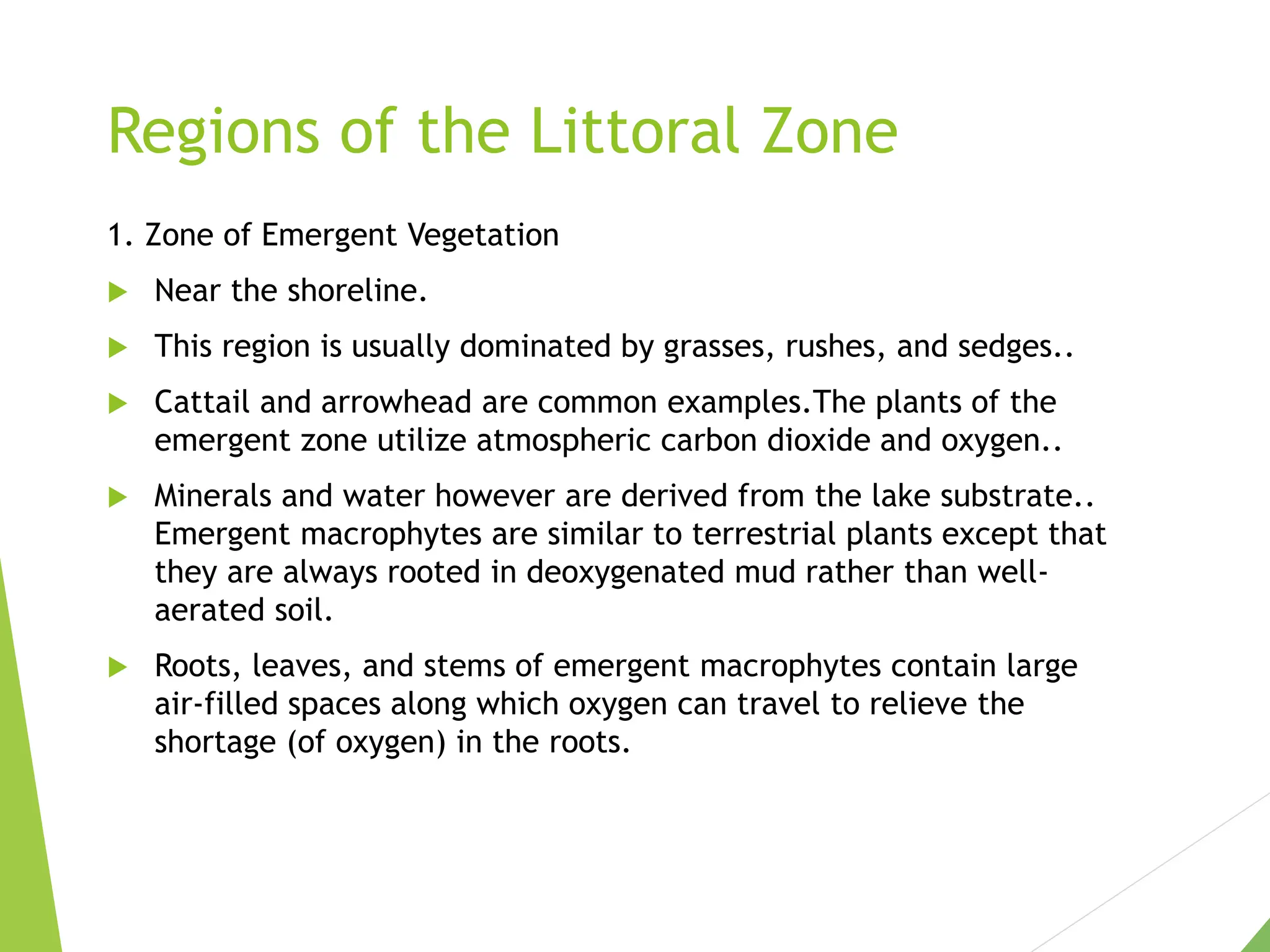 FW ecosystem z2 edited.pptx includes lentic and lotic ecosystem | PPTX