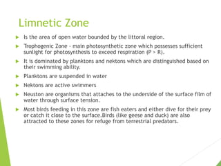 FW ecosystem z2 edited.pptx includes lentic and lotic ecosystem | PPTX
