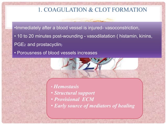Healing following pdl surgeries.pptx | First Aid | Injuries