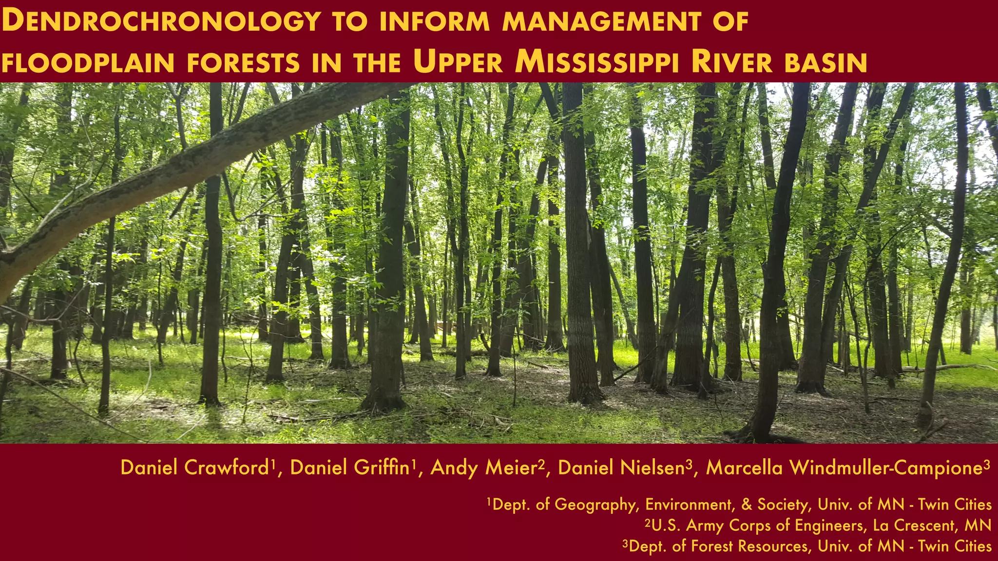 Dendrochronology to inform management of floodplain forests in the ...