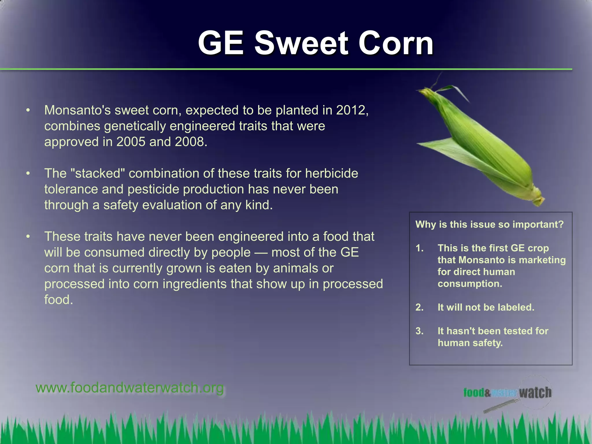 Genetically Modified Organism (GMO) 101 | PPT