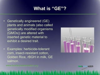 Genetically Modified Organism (GMO) 101 | PPTX