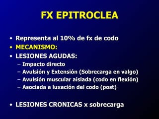 Fx apofisiarias codo clase diego fin | PPT