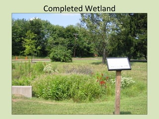 FXBI Wetland Ppt | PPT