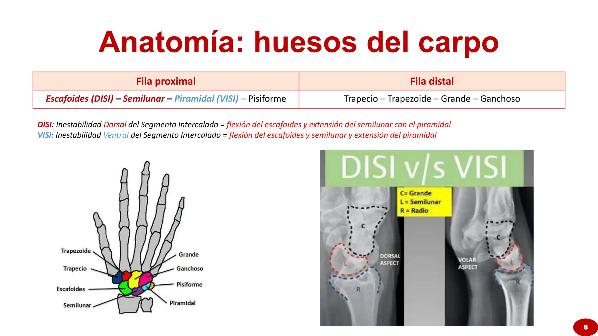Fractura del carpo traumatologia aplicada | PPT