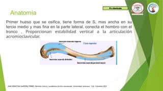 fx de clavicula - y acroioclavicular.pptx