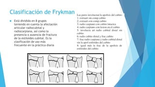 FX de radio distal .pptx