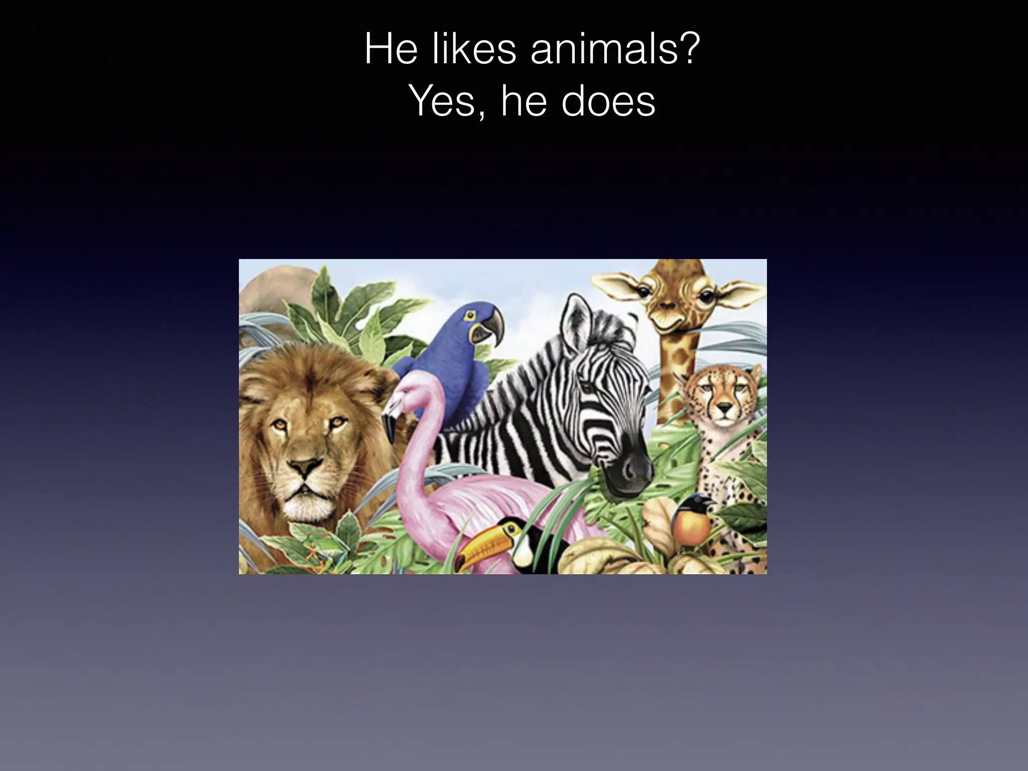 Keynote of preference verbs | PPT