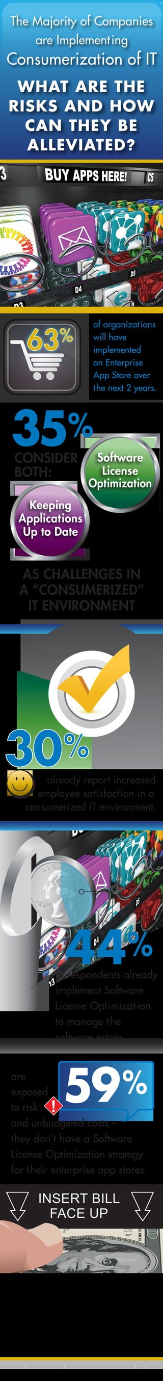 Consumerization of IT: What Are the Risks and How Can They Be ...