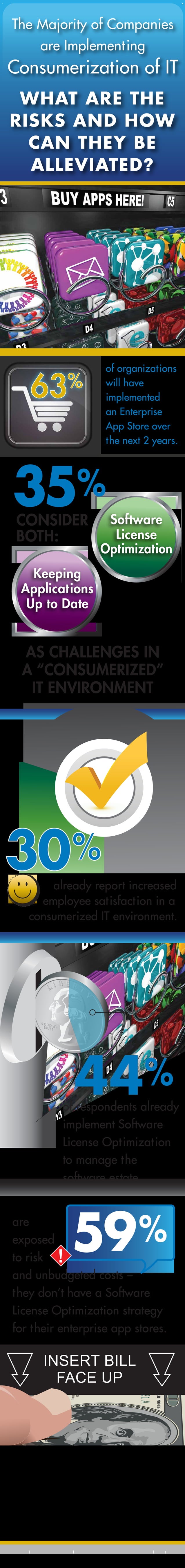 Consumerization of IT: What Are the Risks and How Can They Be ...