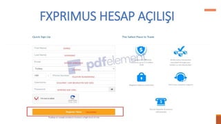 Fxprimus | PDF
