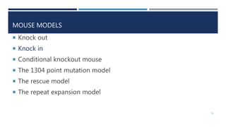 Fragile X Syndrome Animal Models | PPTX | Biological Sciences | Science