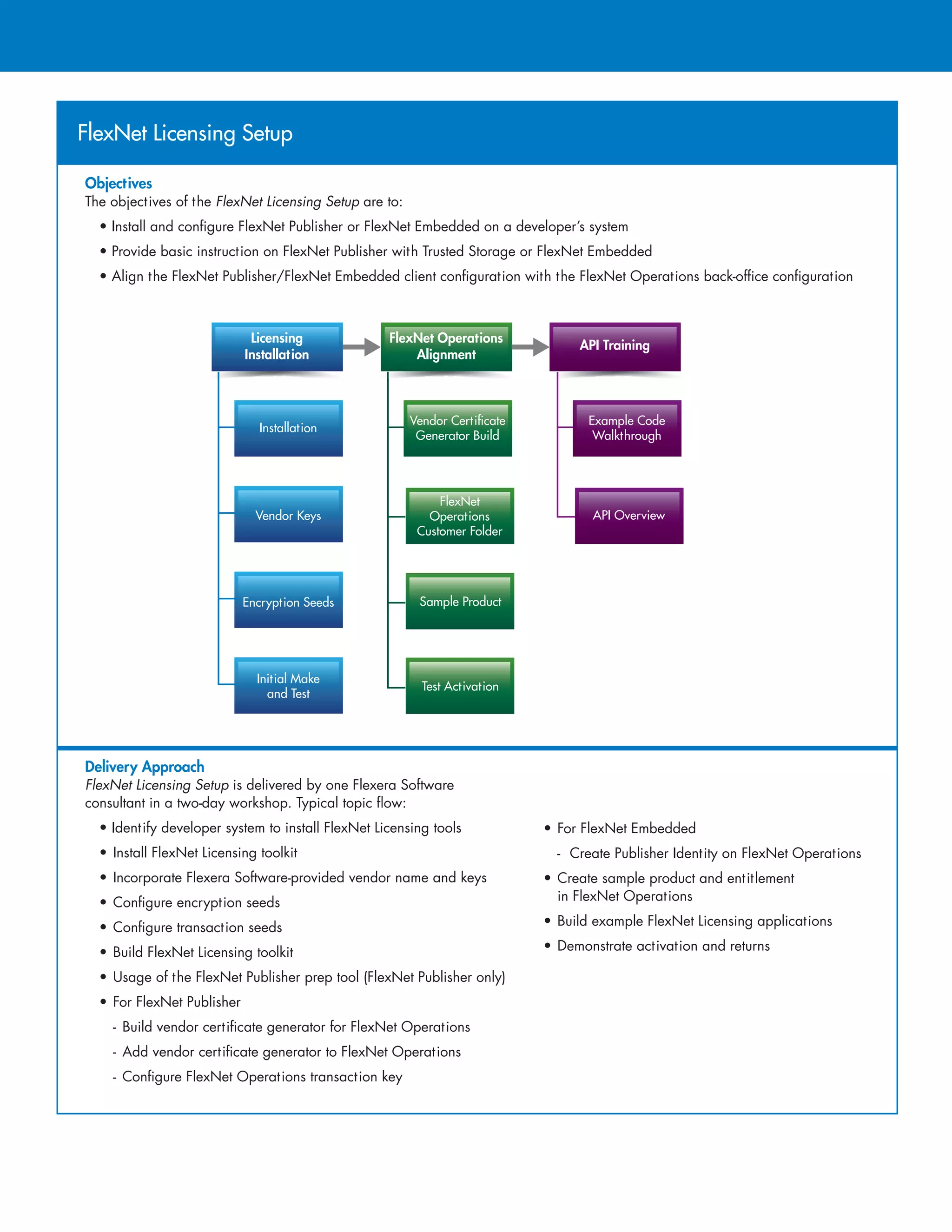 FlexNet Licensing Setup | PDF