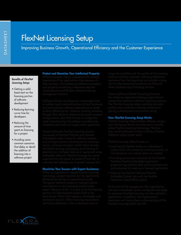 FlexNet Licensing Setup | PDF