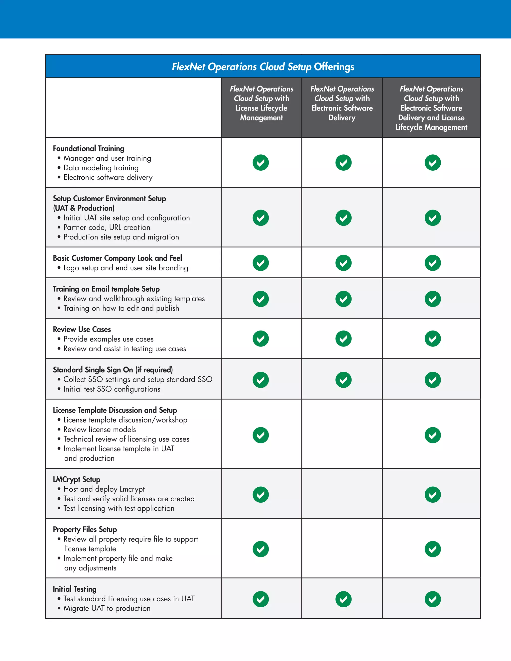 FlexNet Operations On-Demand Setup | PDF