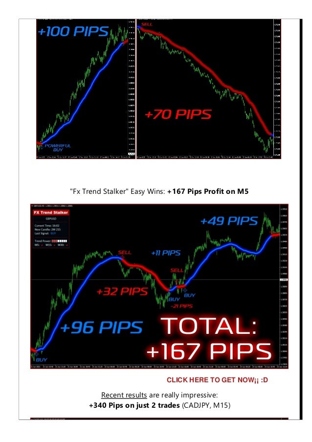 Fx Trend Stalker now.pdf
