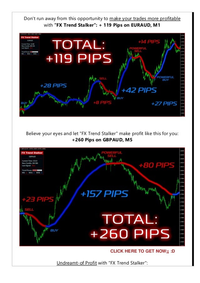 Fx Trend Stalker now.pdf