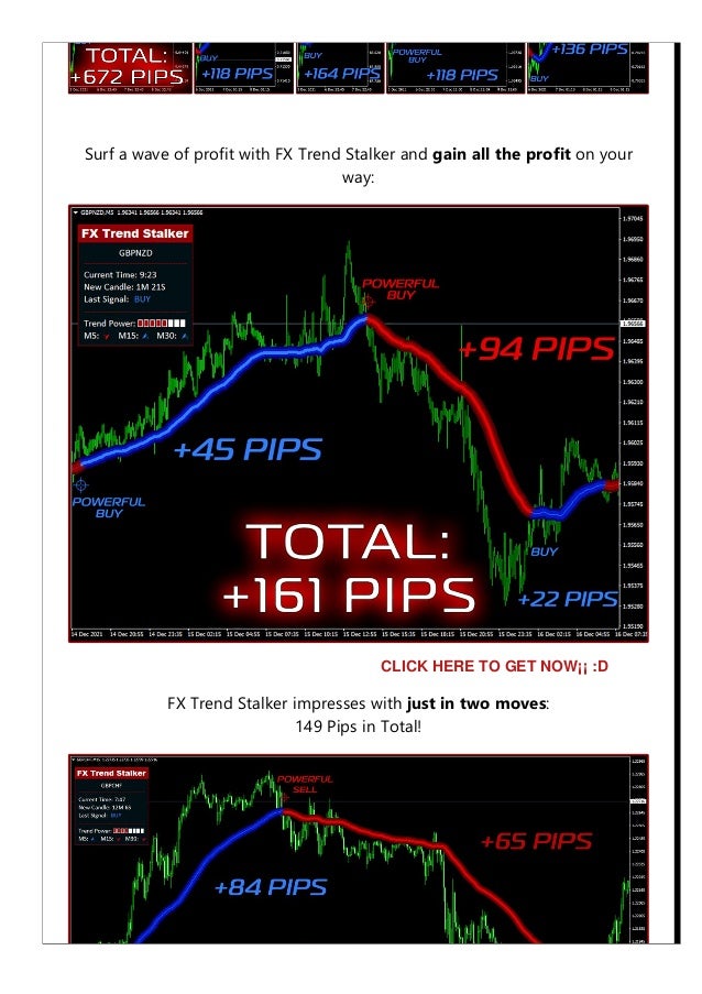 Fx Trend Stalker now.pdf