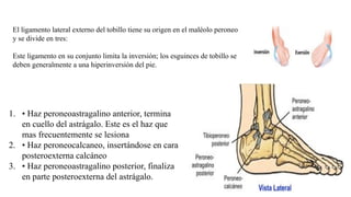 Fractura y luxación del MI: TOBILLO.pptx