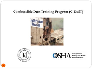 Combustible Dust Health and Safety Presentation | PPT